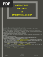 Ciclo Del Aedes Aegypti | PDF | Mosquito | Aedes aegypti