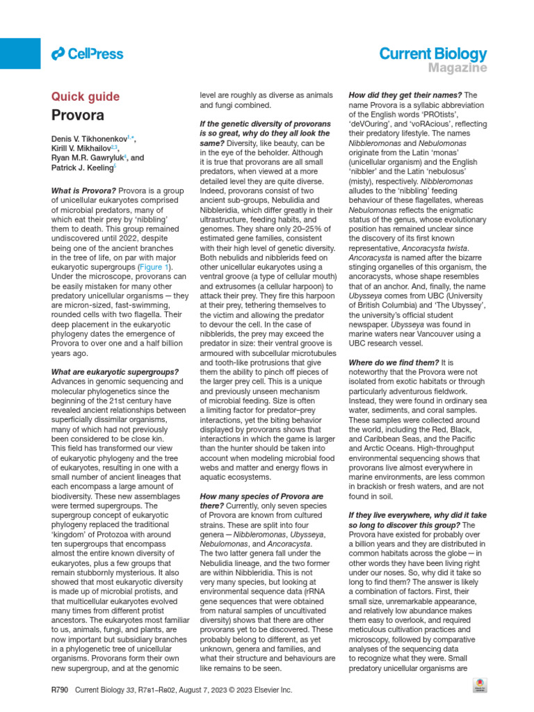 Unveiling Provora: Ancient Microbial Predators | PDF | Predation ...
