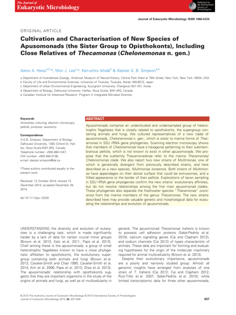 Heiss 2015 New Species of Apusomonads Incl Chelonemonas N Gen | PDF ...