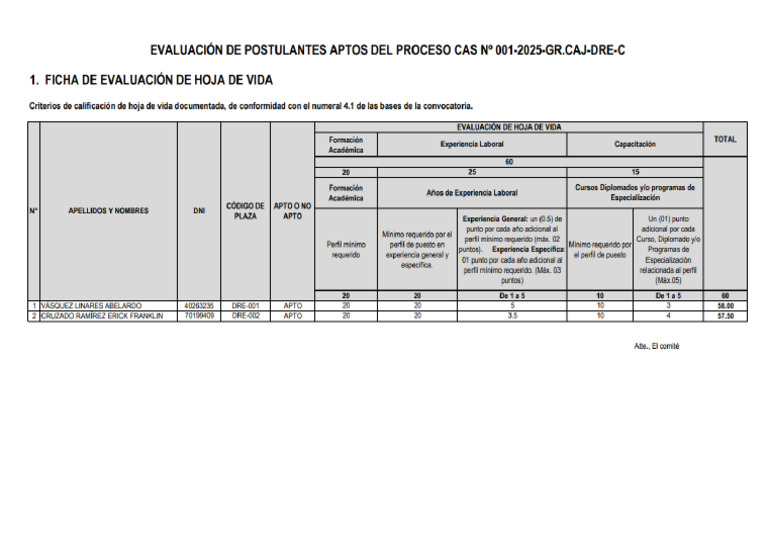 Ficha de Evaluacion Cas 001-2025 | PDF
