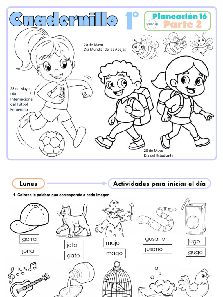Actividades de Lenguaje y Medición | PDF