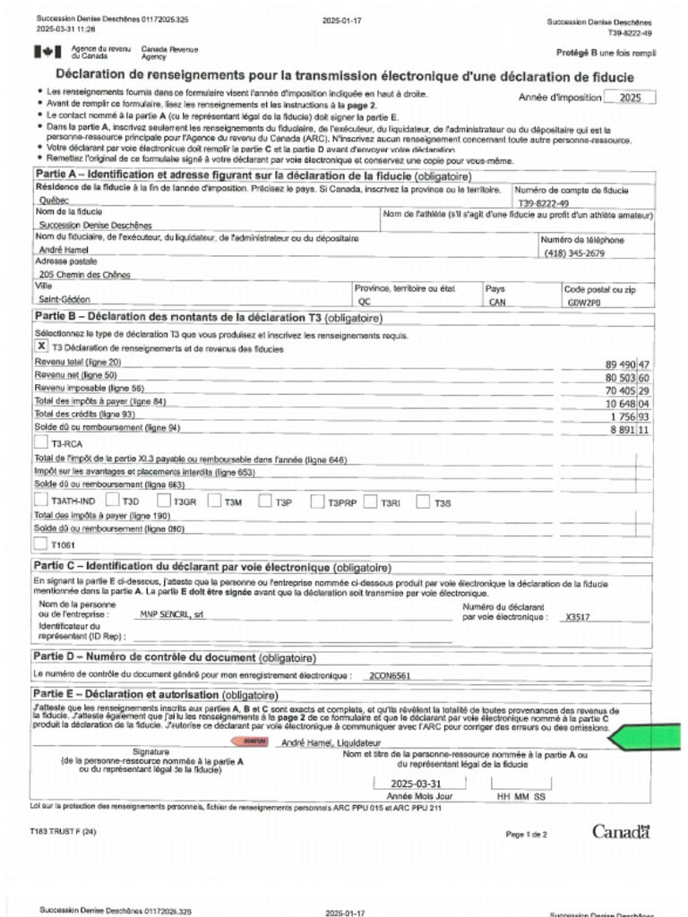 Déclaration T3 Fiducie Pdf