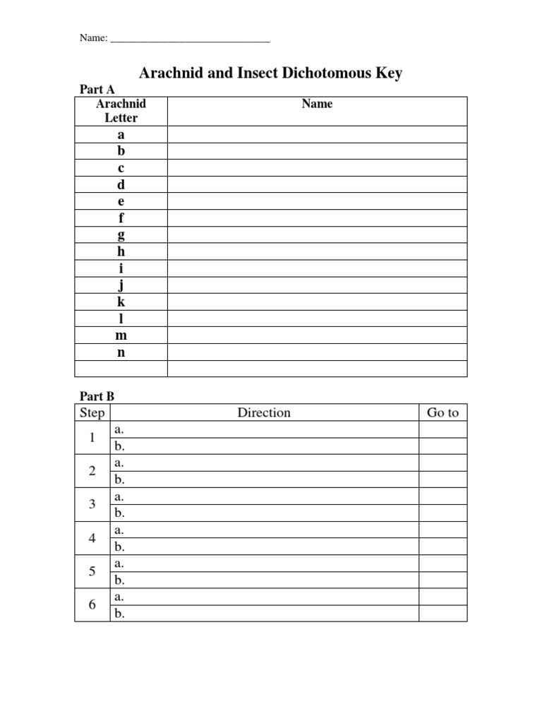 Arachnid and Insect Identification Key | PDF