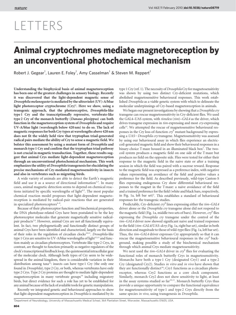 Animal Cryptochromes Mediate Magnetoreception by | PDF | Drosophila ...