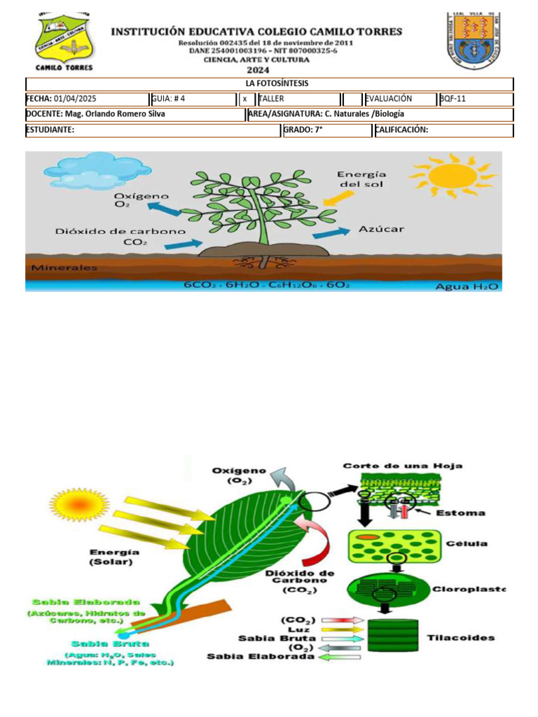 Observa La Imagen y Describe Con Tus Propias Palabras Lo Que Sucede en ...