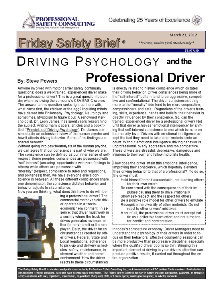 Professional Driver | PDF