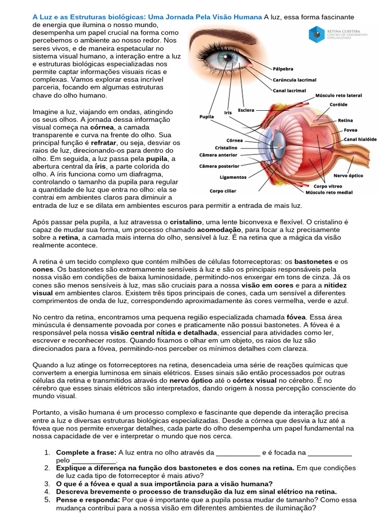 A Luz e As Estruturas Biológicas | PDF | Sistema visual | Olho