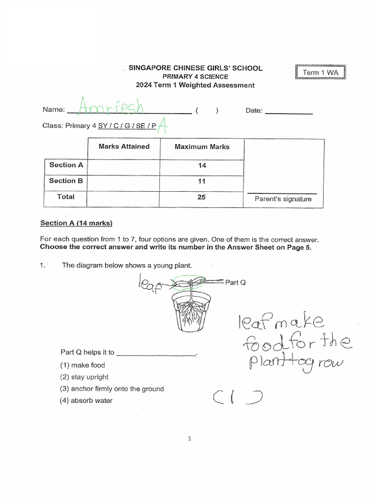 2024-P4-Science-Term 1 Review-SCGS | PDF