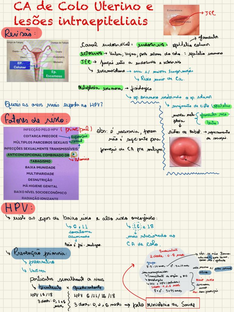CA de Colo Uterino E LIE | PDF | Especialidades médicas | Medicina Clínica