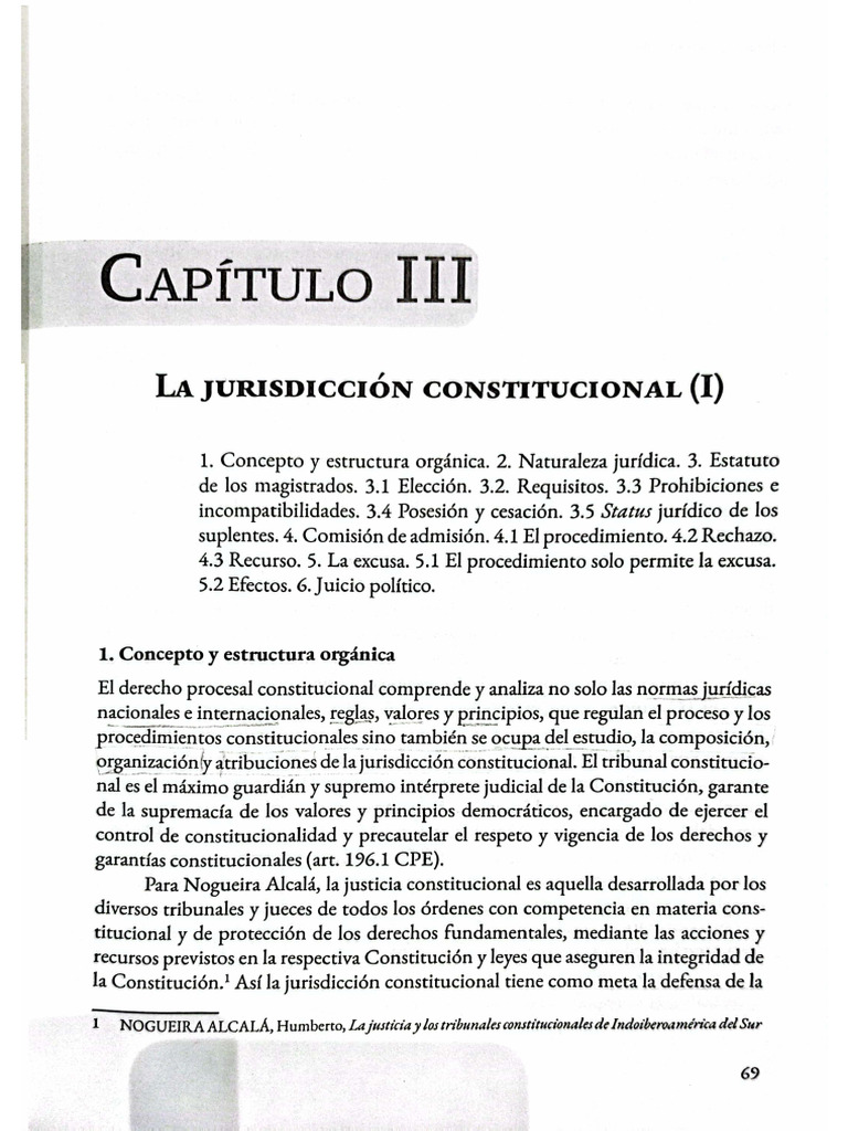 Procesal Consti | PDF