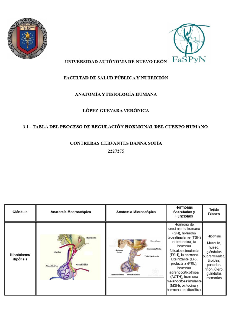 3.1 - Tabla del proceso de regulación hormonal del cuerpo humano. (1) | PDF | Hormona | Glándula ...