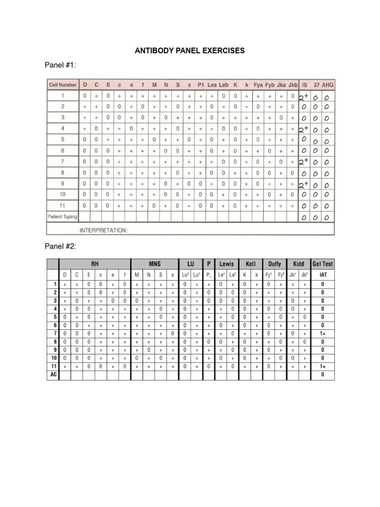 Antibody Panel Practice Exercises | PDF