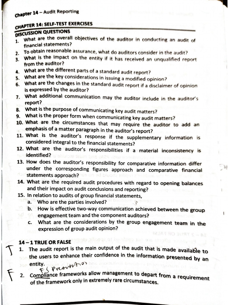 Chapter 14 Audit | PDF