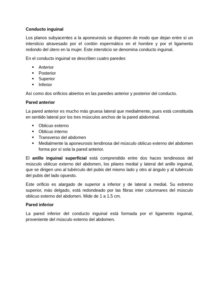 Anatomía del Conducto Inguinal | PDF | Abdomen | Anatomía humana