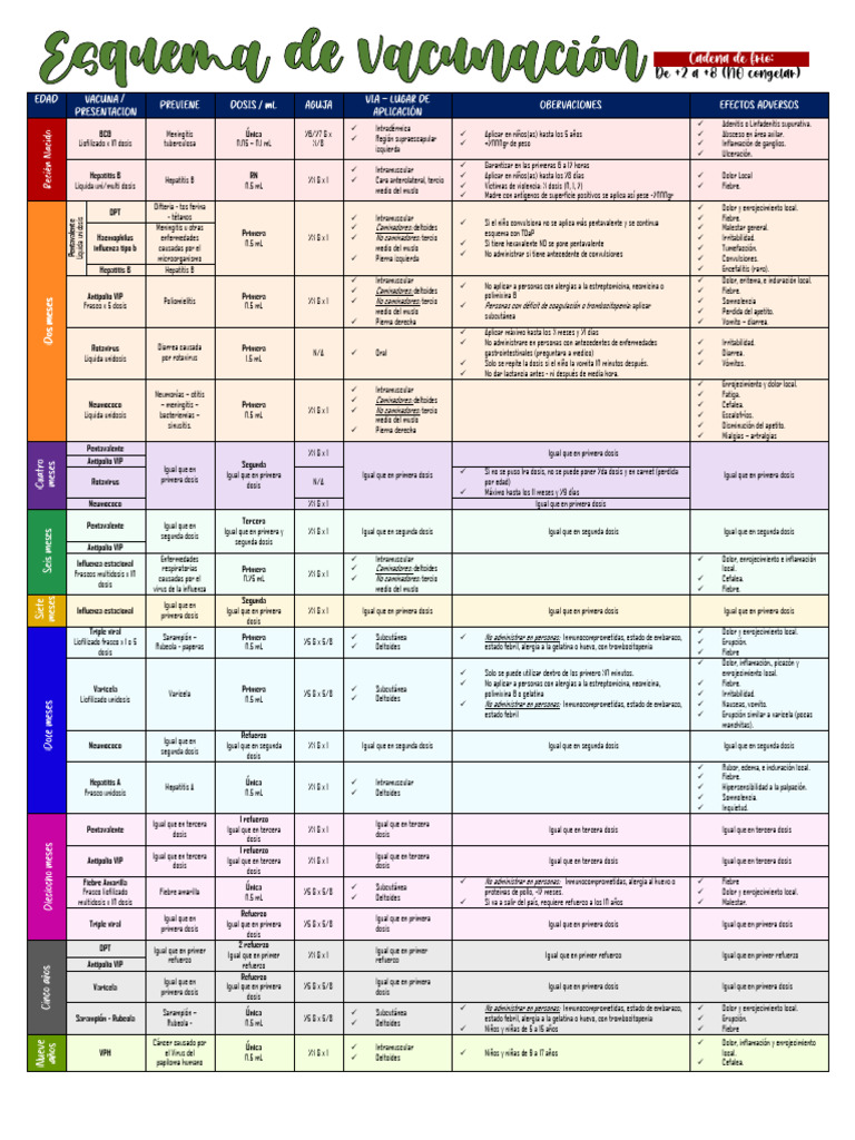 Esquema de Vacunación Completo | PDF | Pediatría | Inmunología