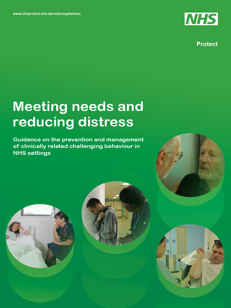 Meeting Needs and Reducing Distress | PDF | National Health Service ...
