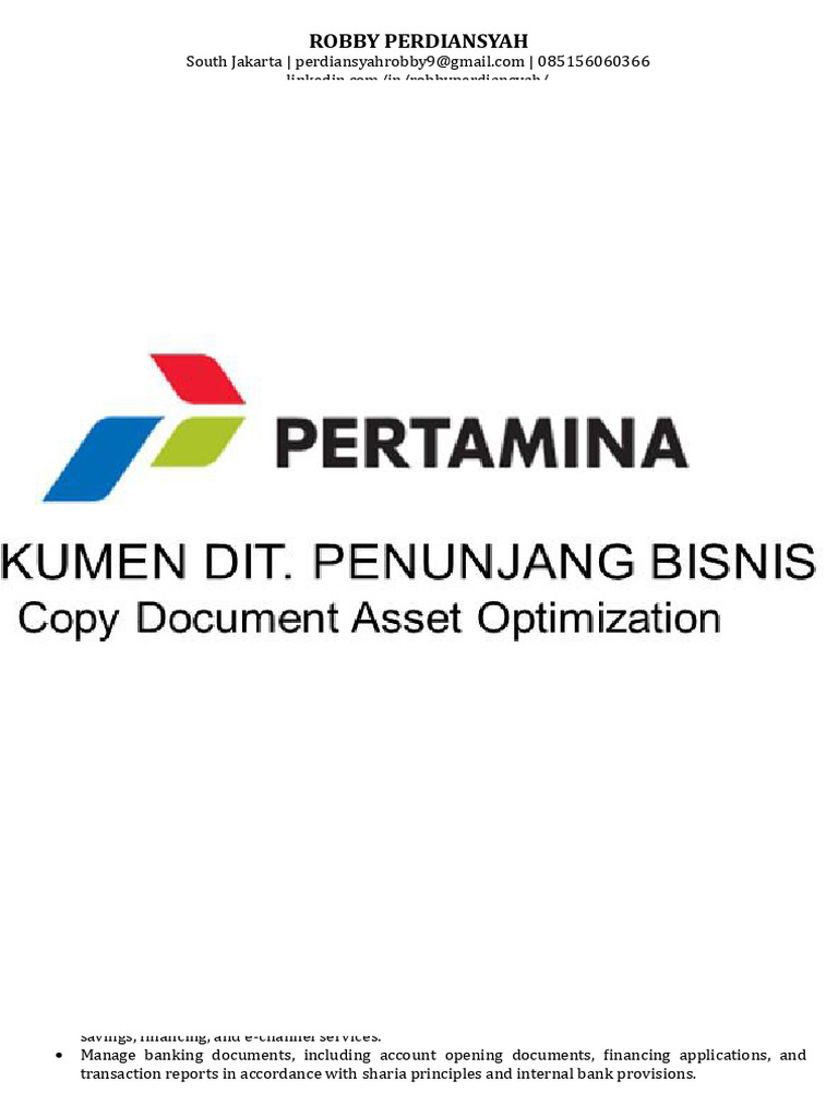 CV - Robby Perdiansyah - Danone - Watermark | PDF | Business