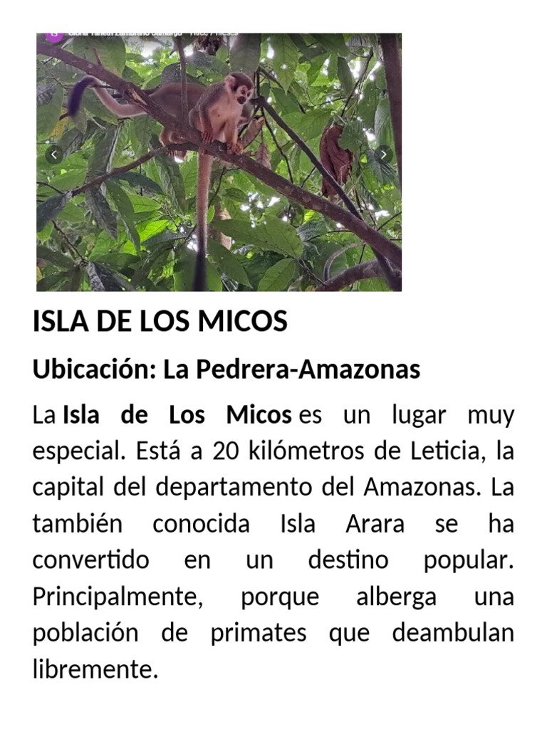 Isla de Los Micos | PDF