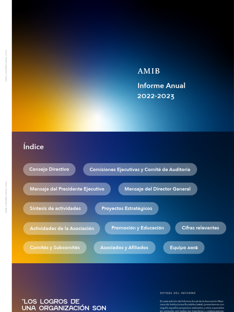 Informe Anual AMIB 2022-2023 | PDF | Bolsa | Economias