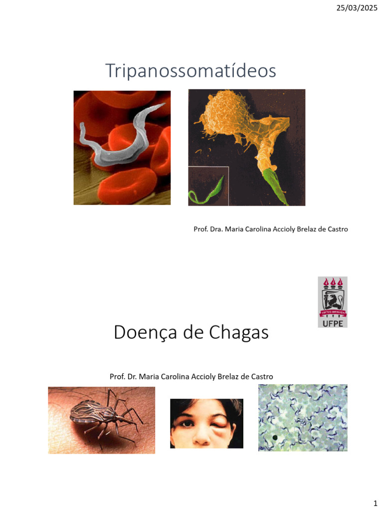 Doena_de_Chagas_2024.2 | PDF | Especialidades médicas | Doenças e ...