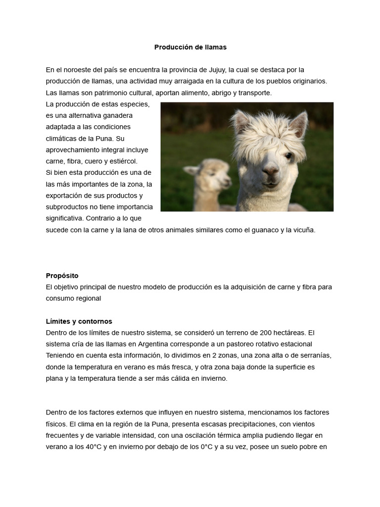 Produccion de Llamas | PDF | Carne | Clima