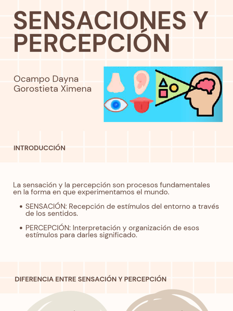 Sensaciones y Percepción 20250516 185113 0000 | PDF