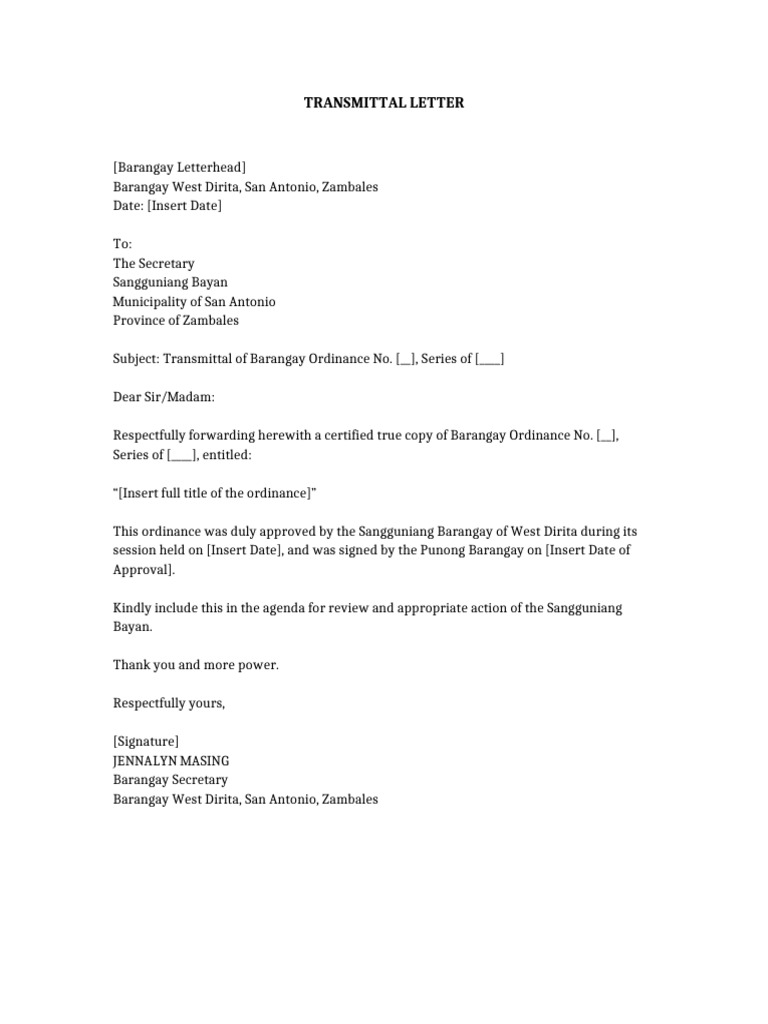 Barangay Ordinance Documents Templates | PDF