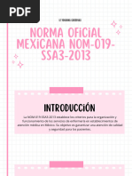 NORMA Oficial Mexicana NOM-019-SSA3-2013, para La Práctica de Enfermería en El Sistema Nacional ...
