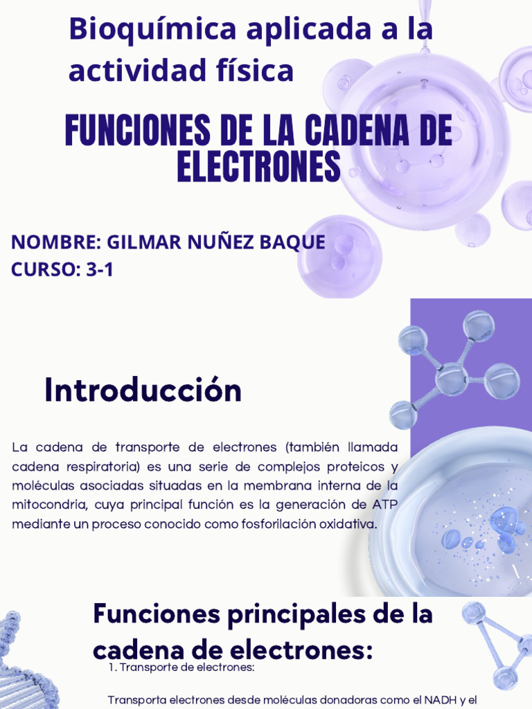 Funciones de La Cadena de Electrones | PDF