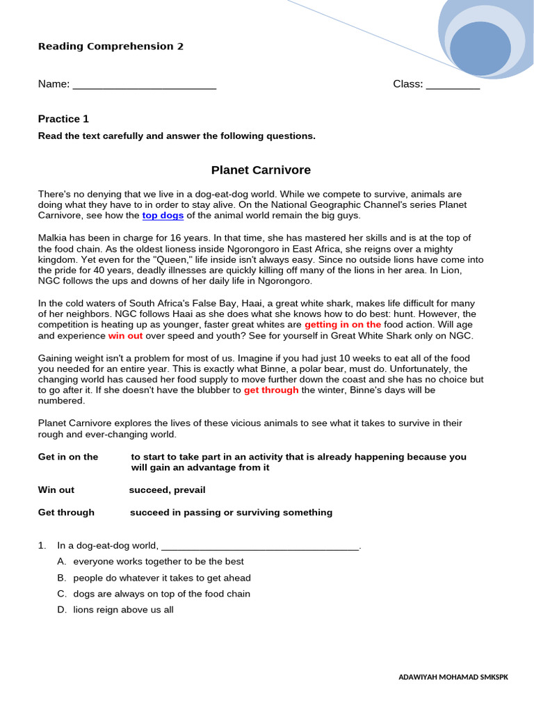 Reading Comprehension Practice Exercises | PDF | Leo Tolstoy | Lion