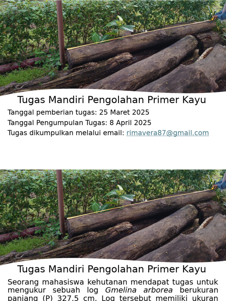 Tugas Pengolahan Primer Kayu - Menghitung Rendemen Dan Ukuran Sasaran ...