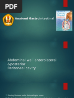 Anatomi Dinding Perut dan Panggul | PDF