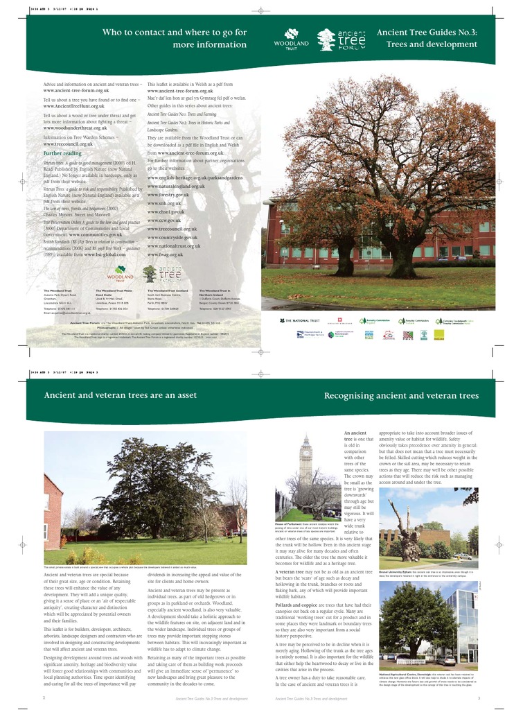 Ancient Tree Guide 3 - Trees and Development | PDF | Trees ...