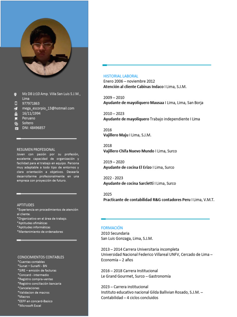 Luza Tinco Jack Brandon - Curriculum | PDF | Lima