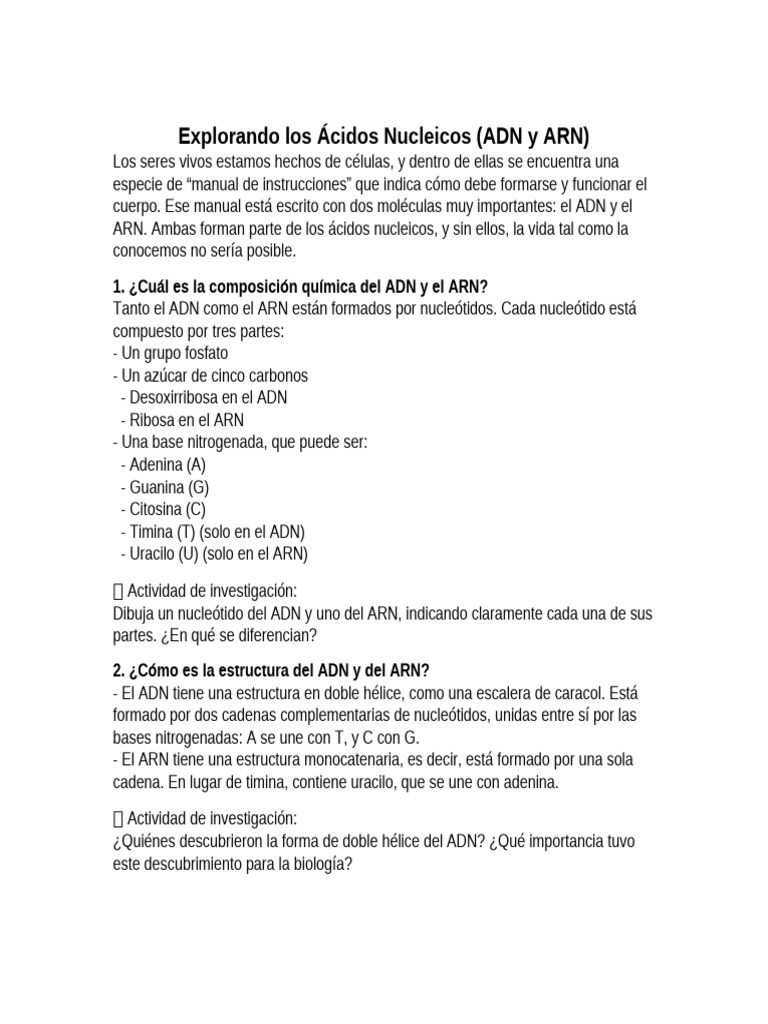 Lectura Acidos Nucleicos ADN ARN | PDF | Rna | Adn