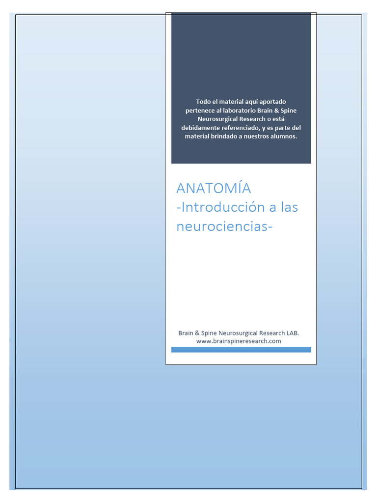 Introducción+a+las+neurociencias | PDF | Sinapsis | Neurona