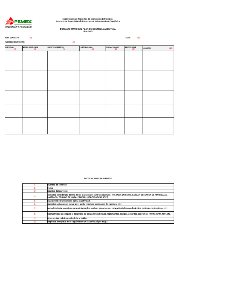 Pa-F-07 Formato Matricial Pca | PDF