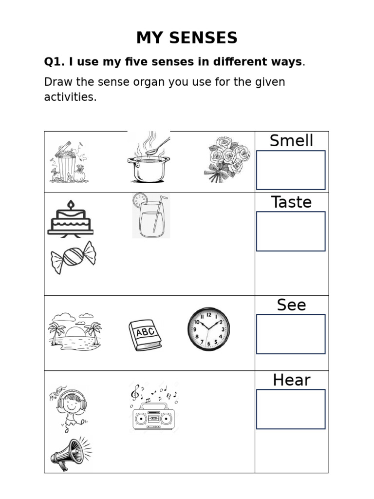 My Senses Worksheet | PDF