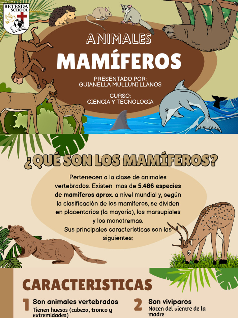 Mamíferos Official | PDF | Mamíferos | Marsupiales