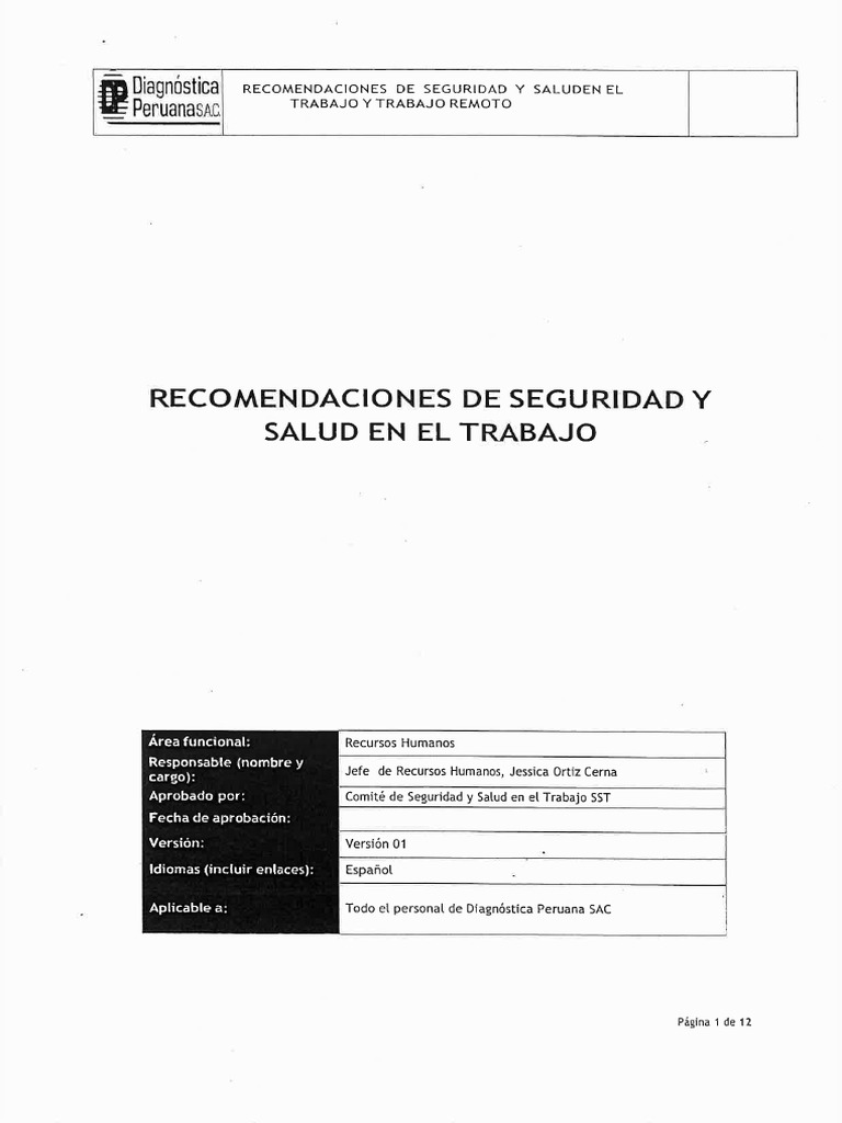 RECOMENDACIONES DE SEGURIDAD Y SALUD EN EL TRABAJO | PDF
