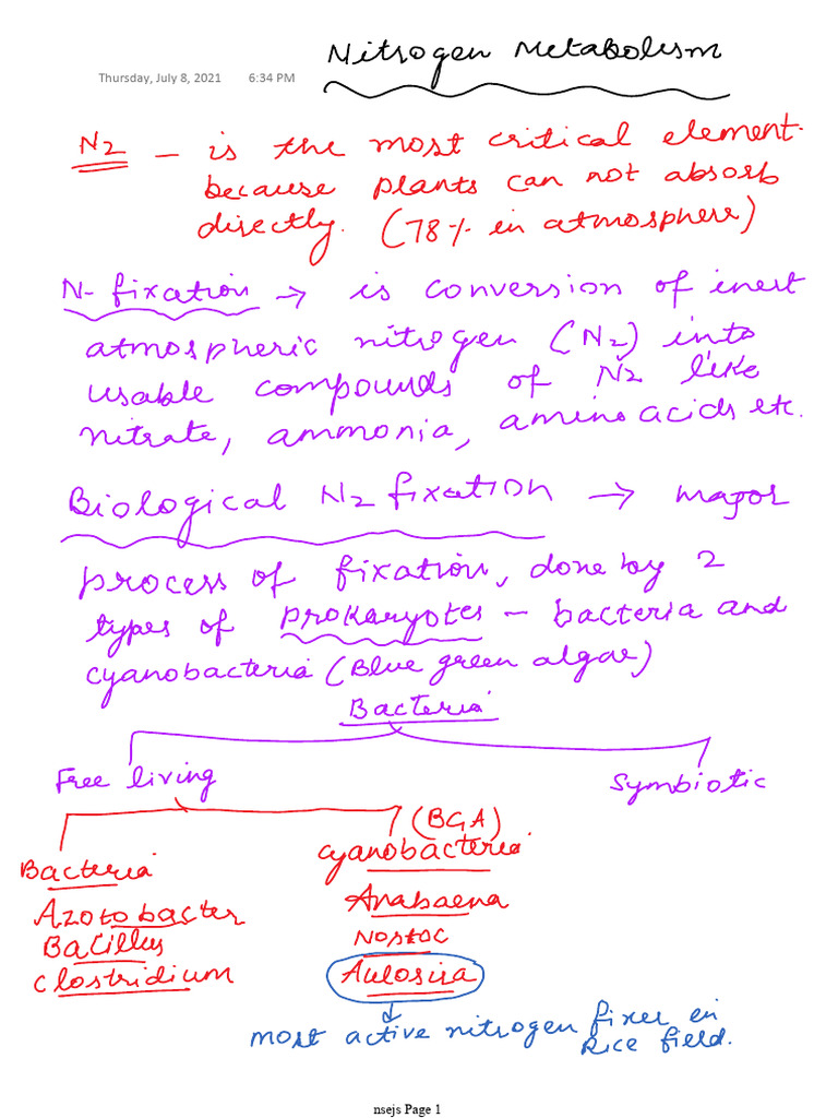 nsejs notes- BIO - Nitrogen Metabolism | PDF