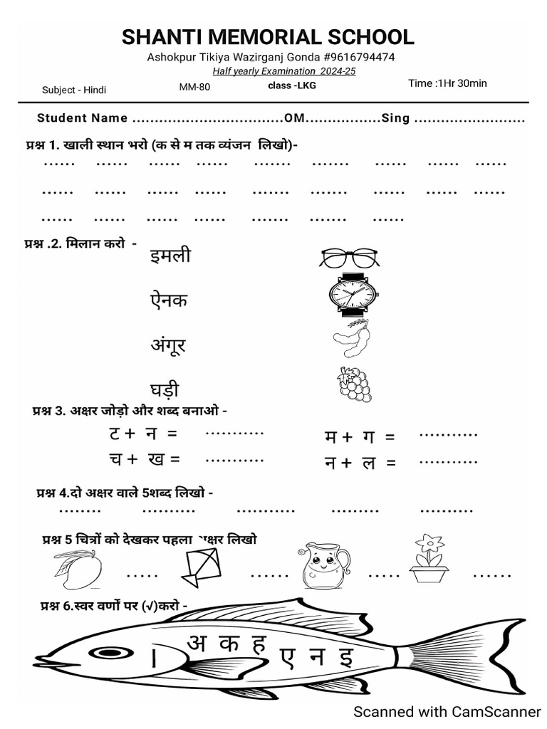 LKG Hindi Ex...Paper | PDF
