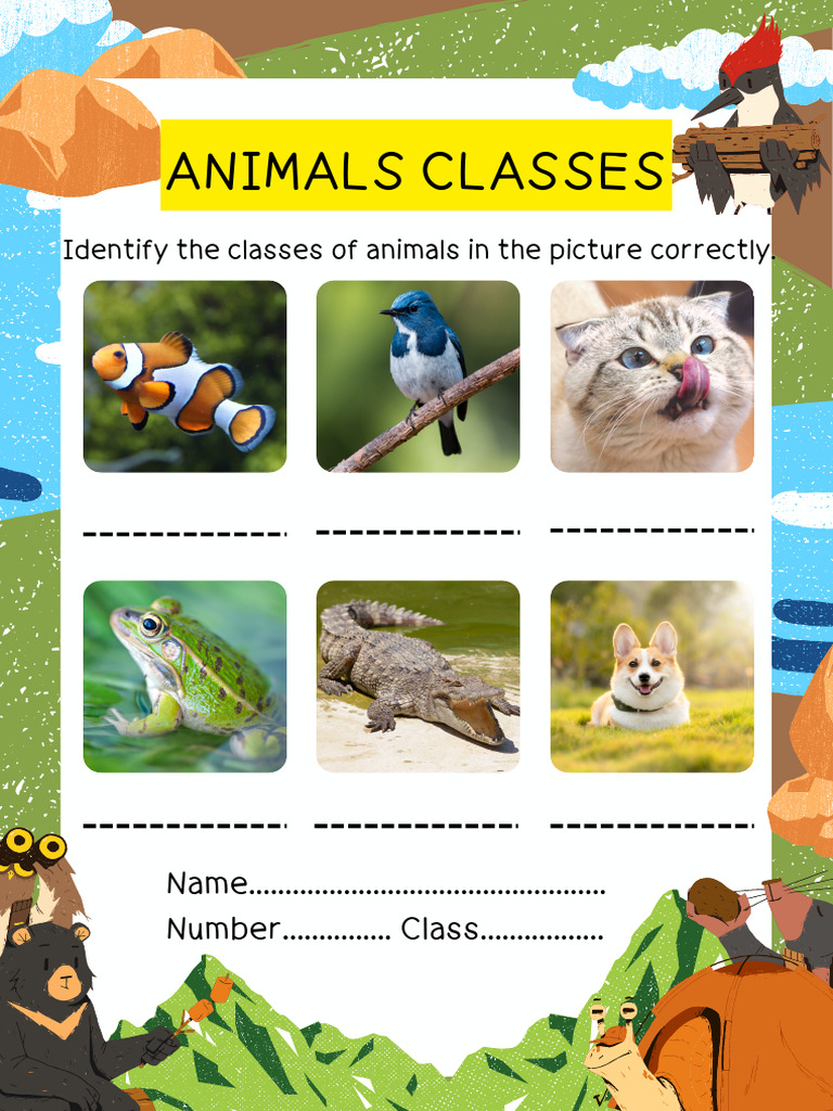 Animals Classes: Identify The Classes of Animals in The Picture ...