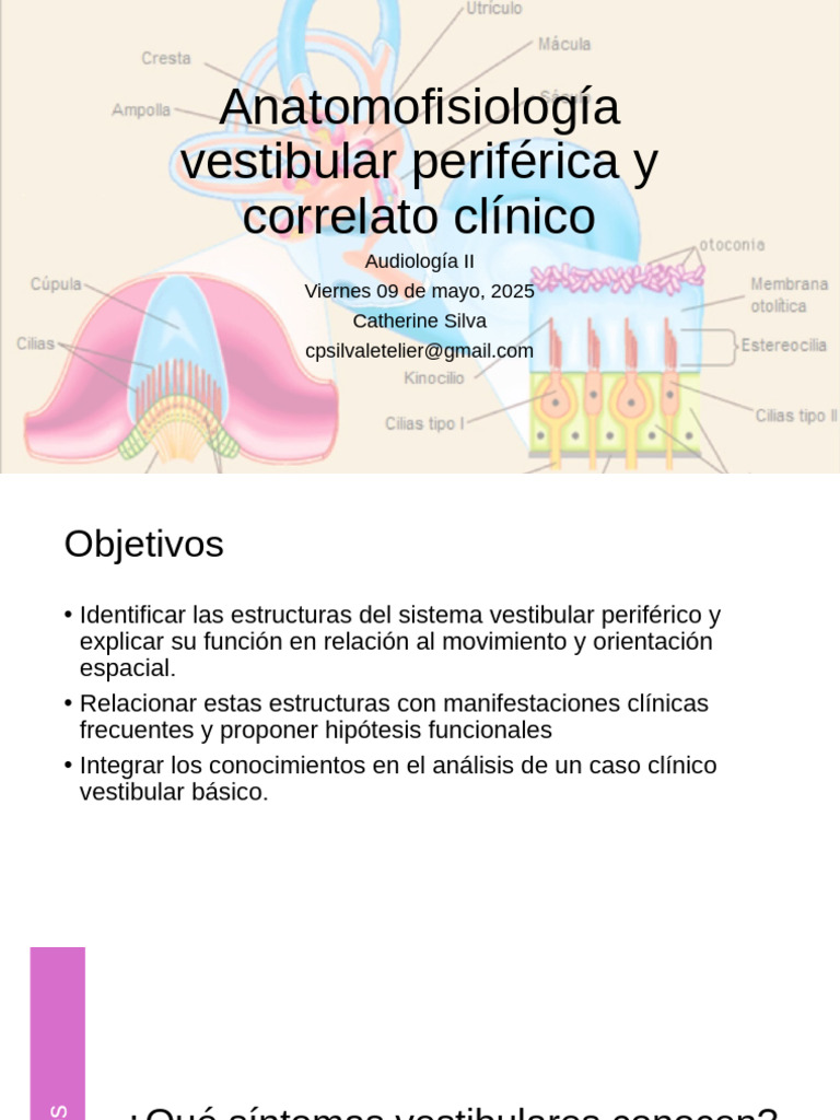 C5 Anatomofisio Vestibular | PDF | Sistema nervioso | Oído