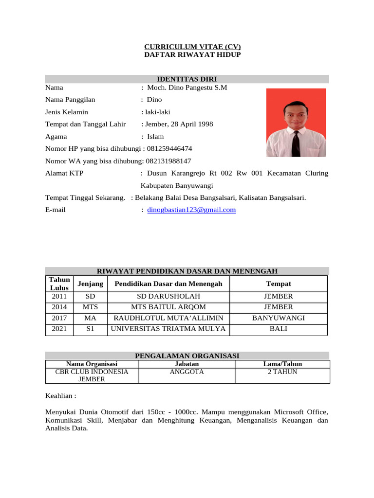 Curriculum Vitae Dino (1) (1) - 1 | PDF