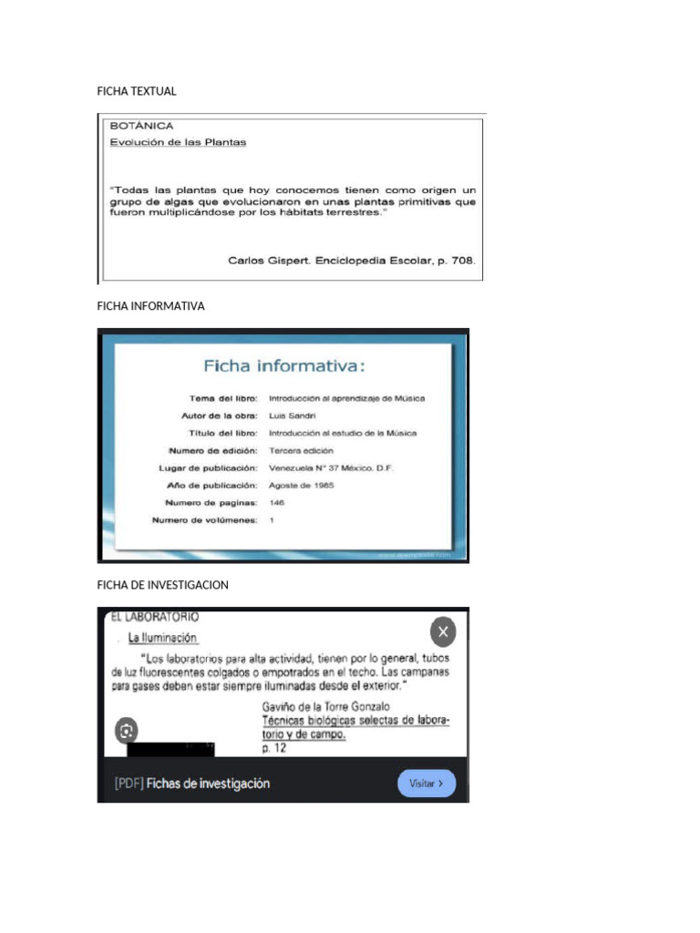 Ficha Textual | PDF