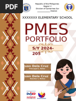 Pmes Portfolio | PDF | Learning | Mentorship
