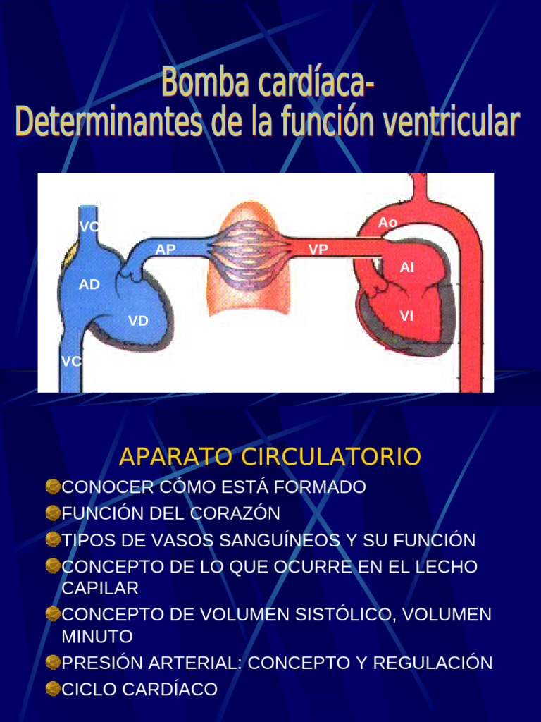 3 - Bomba Cardíaca - Volumen Sistólico - Vol. Minuto | PDF | Corazón ...