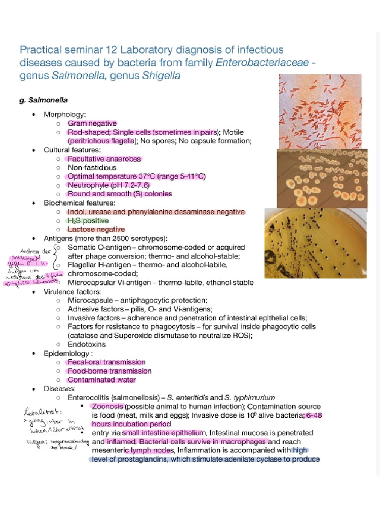 Microbiology Summary -4 | PDF
