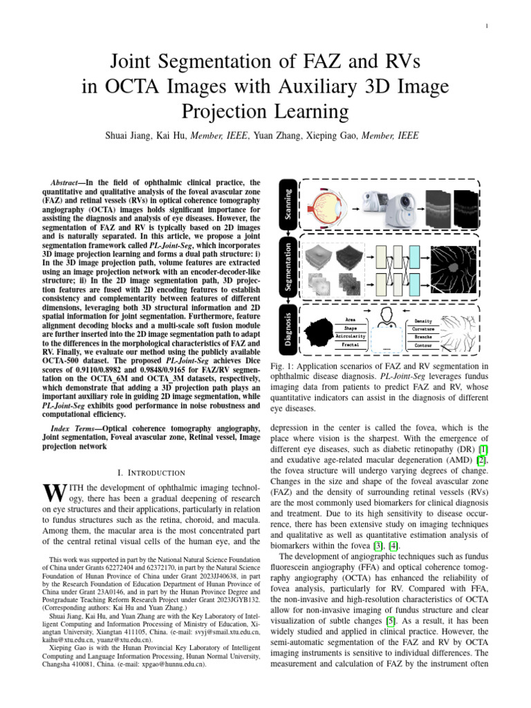 Joint Segmentation of FAZ and RVs in OCTA Images With Auxiliary 3D ...